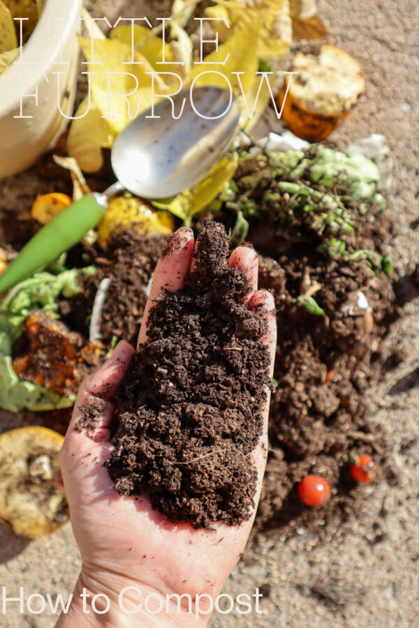 Little Furrow How to Make DIY Sea Salt Spray